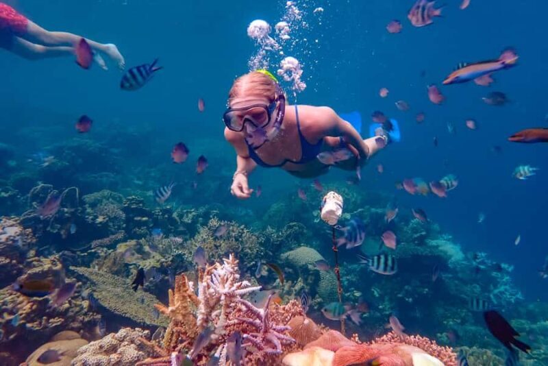 From Yogyakarta: Private 3-Day Karimunjawa Island Tour - Snorkeling and Beach Highlights: Why They Matter