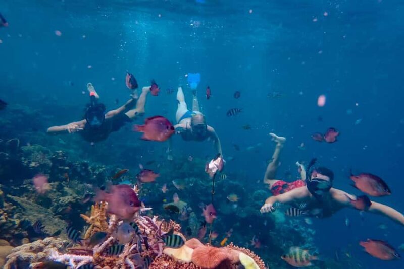 From Yogyakarta: Private 3-Day Karimunjawa Island Tour - Final Thoughts: Who Should Consider This Tour?