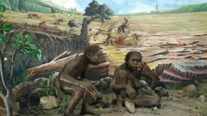 From Yogyakarta: Sangiran Museum and Early Man Site Tour - The Nuts and Bolts