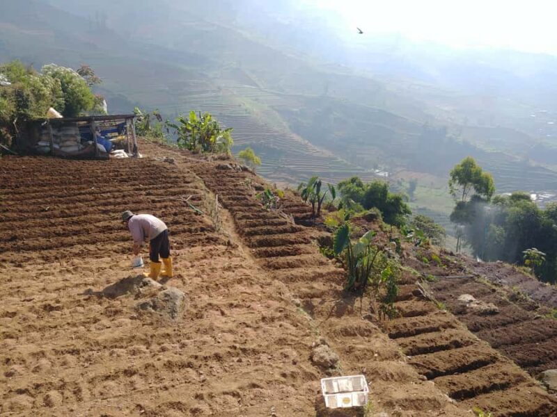 From Yogyakarta: The Beauty Of Dieng Guided Day Tour - FAQ