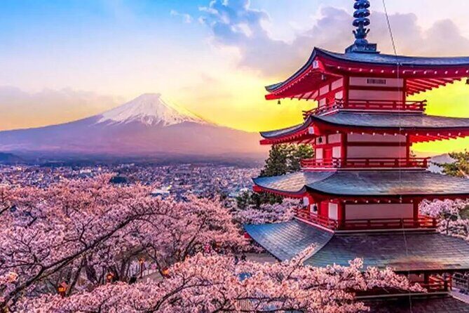 From Yokohama Port Arakurayama & G. Outlets 10 Hour Private Tour - First Stop: Arakurayama Sengen Park – A Viewpoint Like No Other