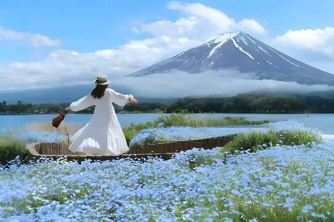 From Yokohama Port Arakurayama & G. Outlets 10 Hour Private Tour - Who Will Love This Tour?