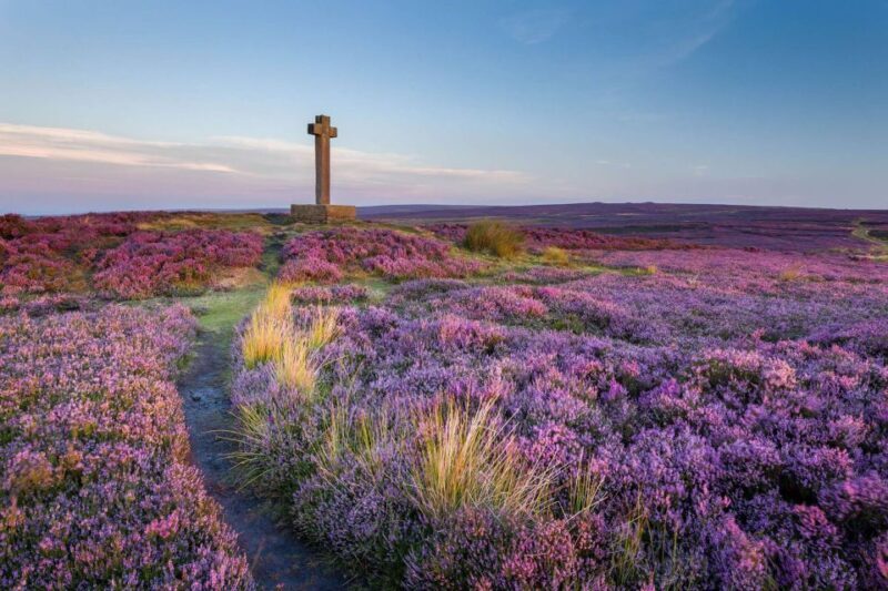 From York: Day Trip to Whitby and The North York Moors - An In-Depth Look at the Itinerary and Highlights