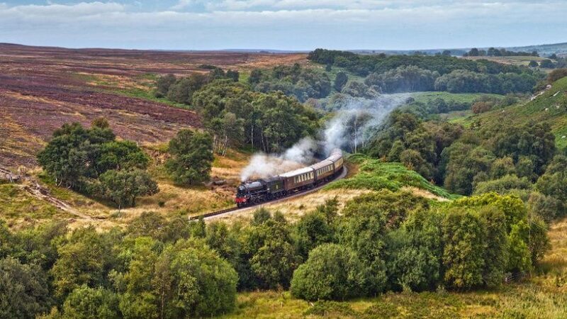 From York: Moors, Whitby, and the Yorkshire Steam Railway - Who This Tour Suits Best