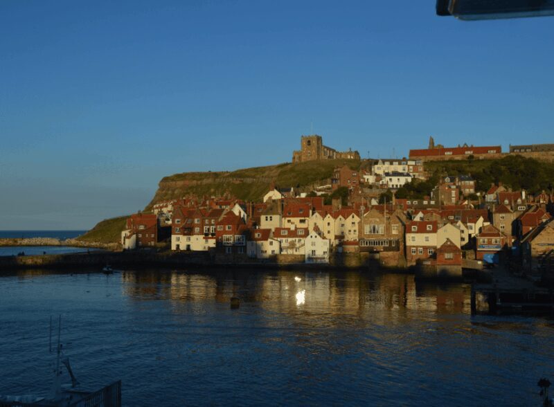 From York: North Moors and Whitby Tour - Who Will Love This Tour?