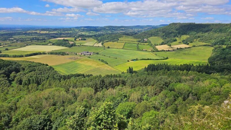 From York: North Yorkshire Moors, Steam Train and Whitby - An Introduction to the Experience