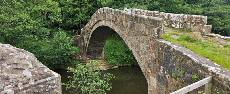 From York: North Yorkshire Moors, Steam Train and Whitby - Final Thoughts