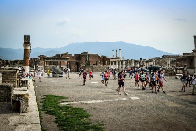 From your cruise ship in Naples to Pompeii Park, ticket and guide included - The Itinerary in Detail