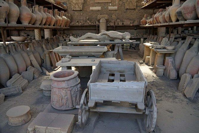 From your cruise ship in Naples to Pompeii Park, ticket and guide included - Transportation and Accessibility