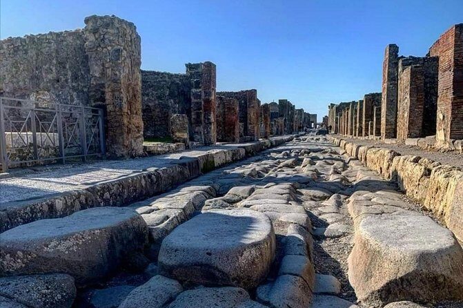 From your cruise ship in Naples to Pompeii Park, ticket and guide included - Booking and Cancellation