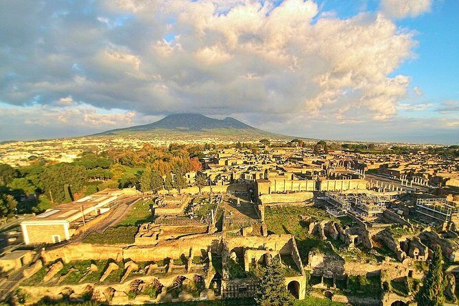 From your cruise ship in Naples to Pompeii Park, ticket and guide included - Who Will Love This Tour?