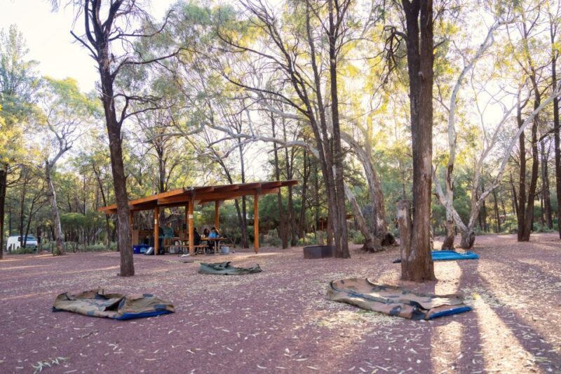 From Yulara: 7-Day Uluru to Adelaide Tour - Final Thoughts