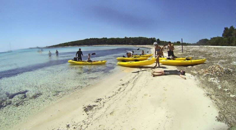 From Zadar: Full-Day Kayaking Tour in Dugi Otok - Real-World Insights from Participants