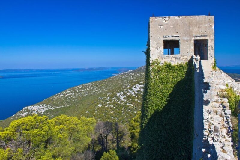 From Zadar: Full-Day Ugljan Self-Guided Bike Tour - What Makes This Tour Special?