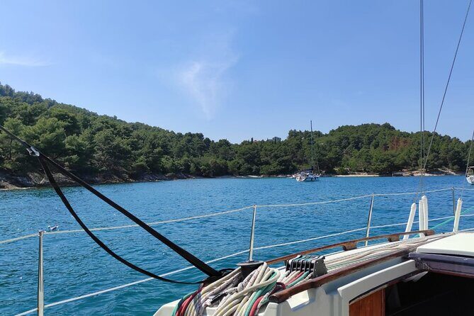 From Zadar: Half day sailing tour - Key Points: