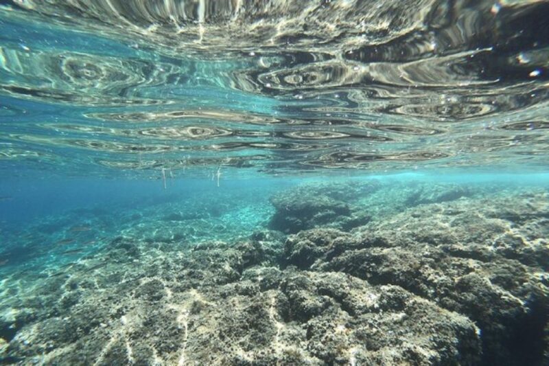 From Zadar: Half/Full Day Sailing Tour - Introduction: A Chance to Experience Croatias Coastal Charm