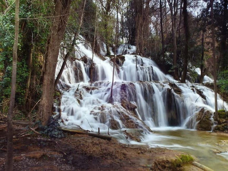 From Zadar: Krka National Park Full-Day Tour from Zadar - Exploring Krka National Park from Zadar: An In-Depth Review