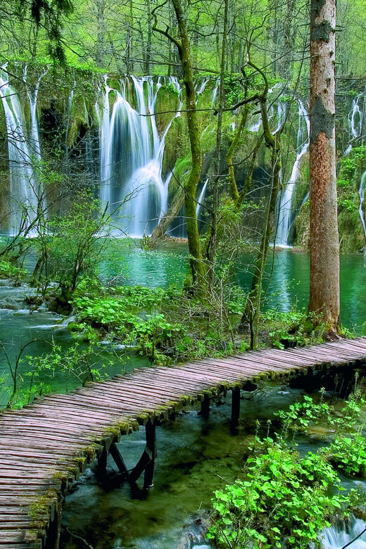 From Zadar: Plitvice Lakes Day Tour - What Youll Experience