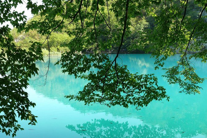 From Zadar: Plitvice Lakes Guided Day Tour with Tickets - Final Thoughts