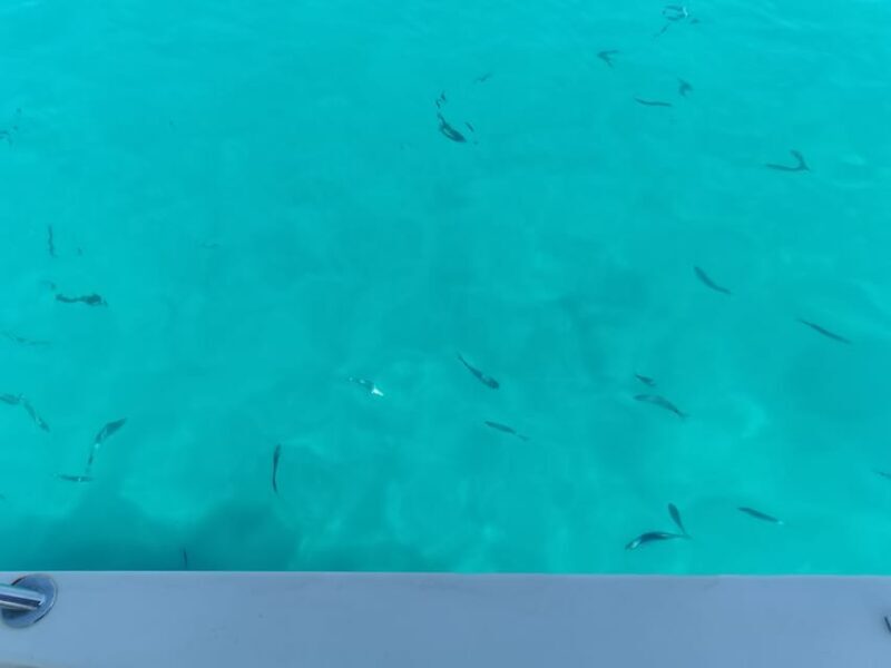 From Zadar: Sakarun Beach Private Speed Boat Tour - From Zadar: Sakarun Beach Private Speed Boat Tour