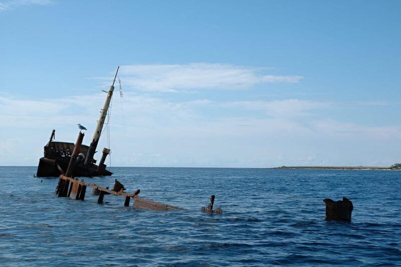 From Zadar: Sakarun Beach Private Speed Boat Tour - The Sum Up