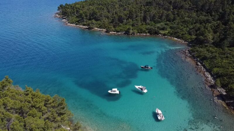 From Zadar: Ugljan, Galevac and Oljak Islands Boat Tour - Real Traveler Insights