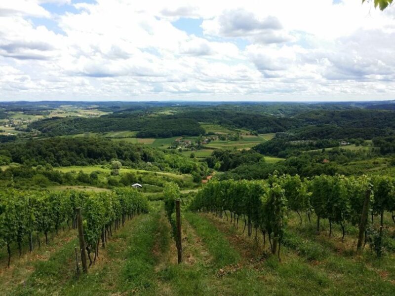 From Zagreb: Fairytale Castle & Wine Tasting & Lunch - A Romantic Step Back in Time at Trakoscan Castle
