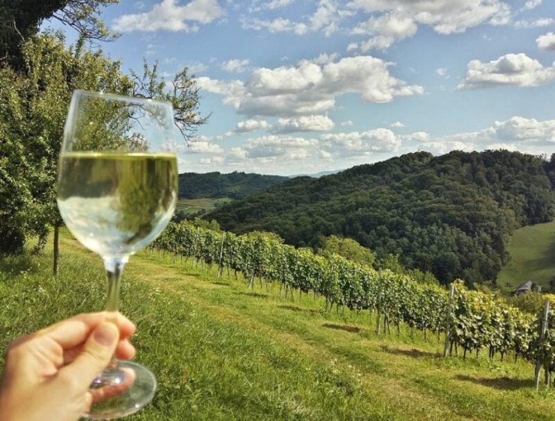From Zagreb: Fairytale Castle & Wine Tasting & Lunch - Scenic Drive and the Beauty of Zagorje