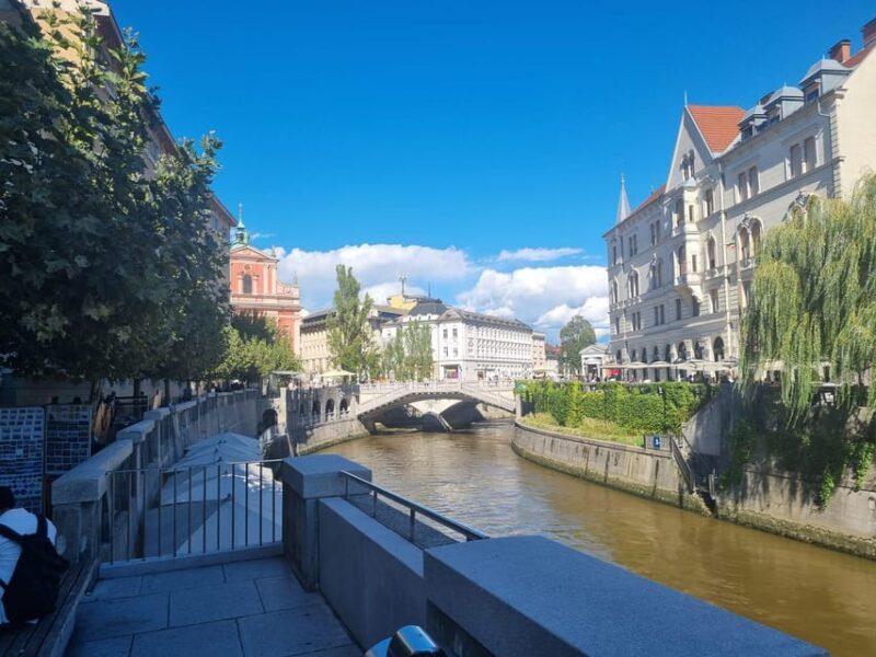 From Zagreb: Highlights Day Tour to Bled and Ljubljana - Transportation and Comfort