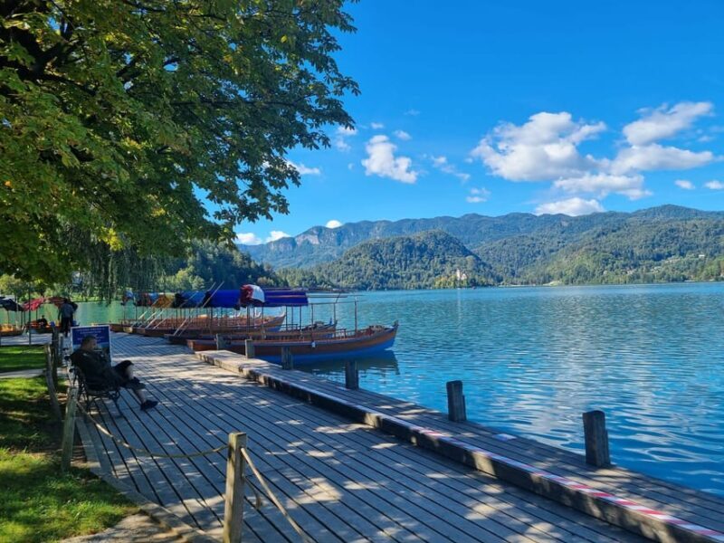 From Zagreb: Highlights Day Tour to Bled and Ljubljana - Who Is It Best For?