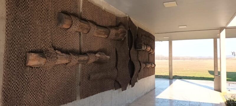 From Zagreb: Jasenovac Memorial Museum and Hrvatska - Key Points