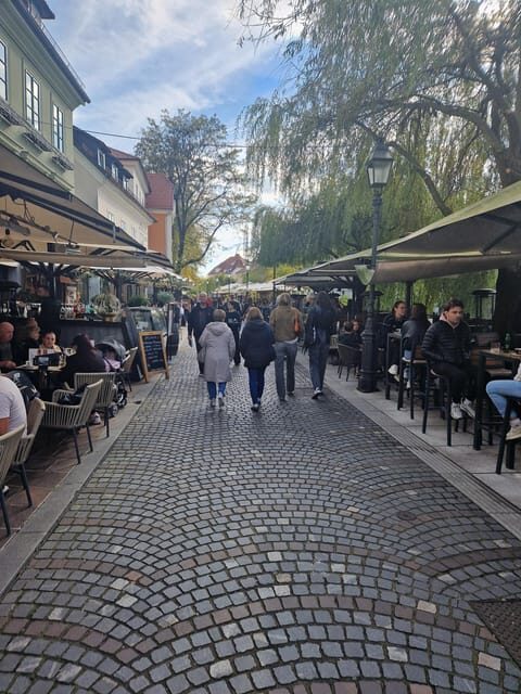 From Zagreb: Ljubljana and Lake Bled Private Day Tour - Potential Drawbacks