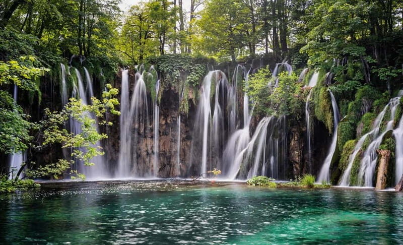 From Zagreb or Split: Plitvice Lakes Private Tour - Authentic Experiences and Traveler Insights