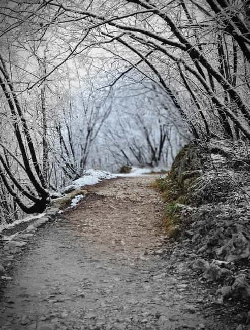 From Zagreb: Plitvice Lakes, Dubovac Castle, Rastoke - An Overview of What to Expect
