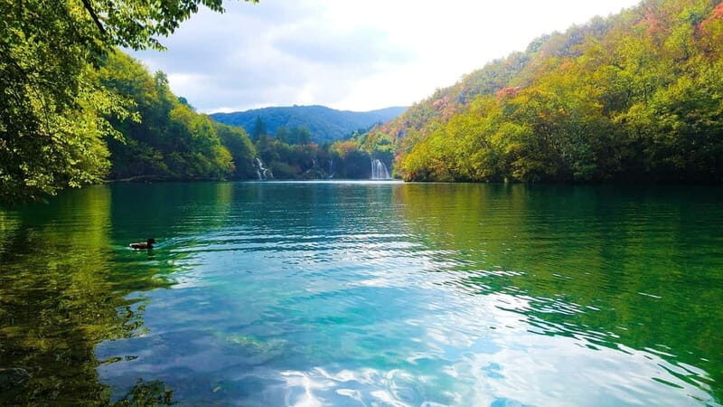 From Zagreb: Plitvice Lakes Guided Day Trip - Key Points