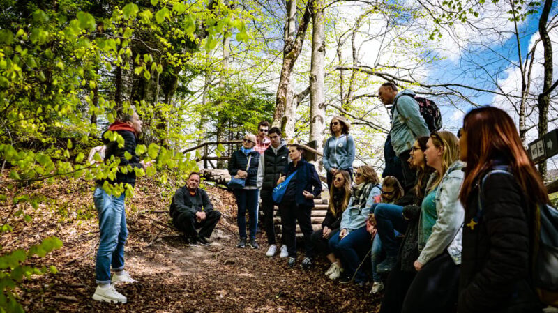 From Zagreb: Plitvice Lakes National Park Full-Day Tour - Who Will Love This Tour?
