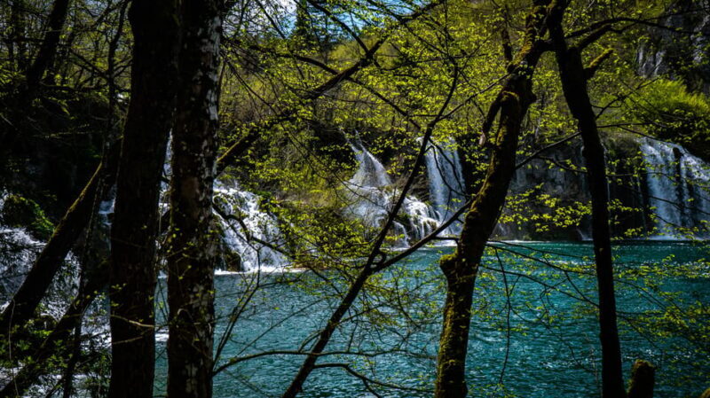 From Zagreb: Plitvice Lakes National Park Full-Day Tour - Summary: The Value and Who It’s For