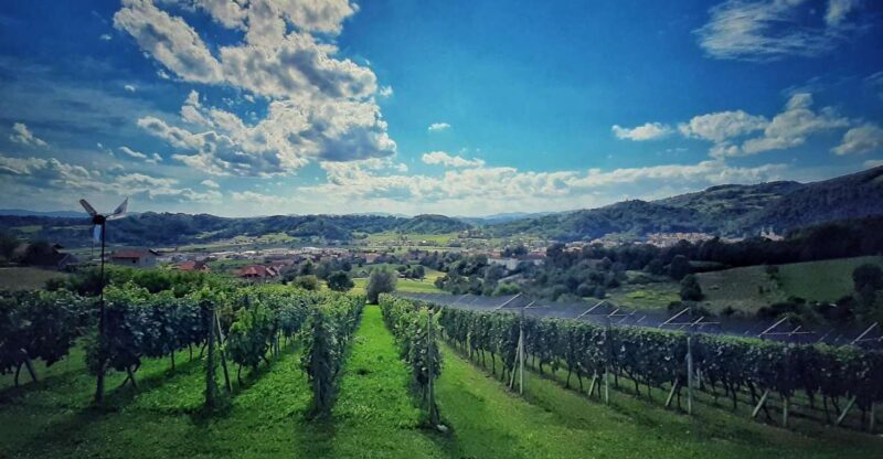 From Zagreb: Samobor & Plesivica Wine Road, Private - Key Points