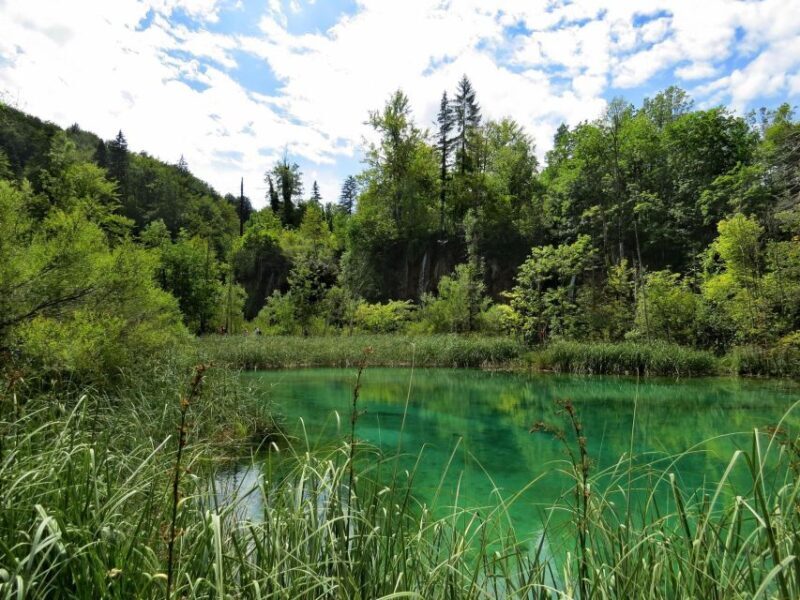 From Zagreb to Split: Plitvice Lakes Private Tour - The Itinerary in Detail