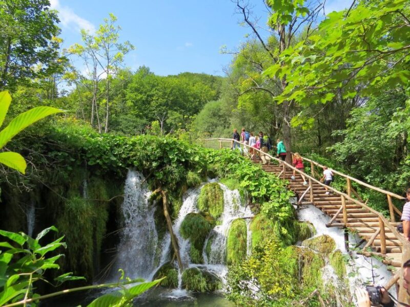 From Zagreb to Zadar: Plitvice Lakes Private Tour - An In-Depth Look at the Experience