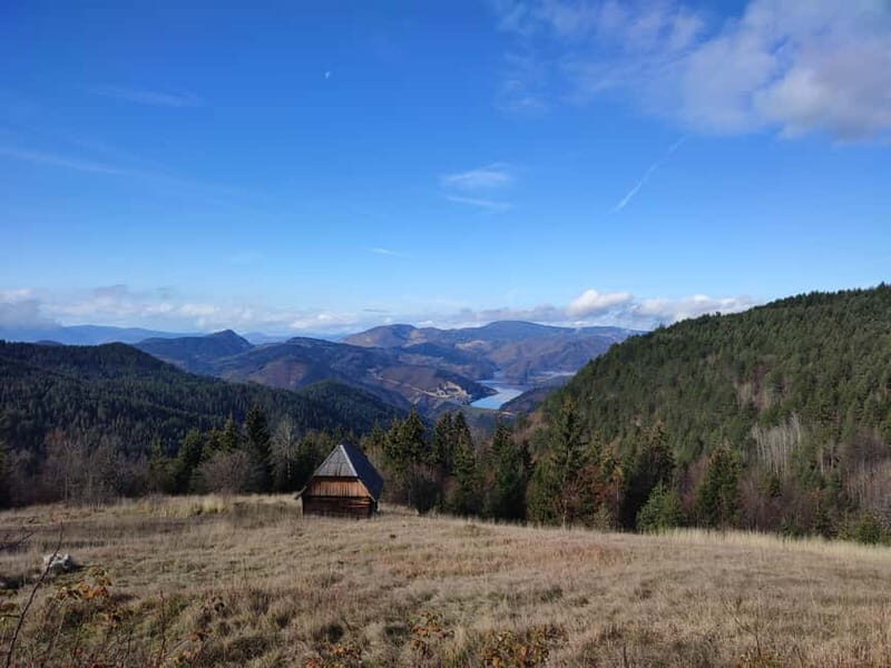 From Zlatibor/Uice: Tara National Park - Private Tour - Who Is This Tour Best For?