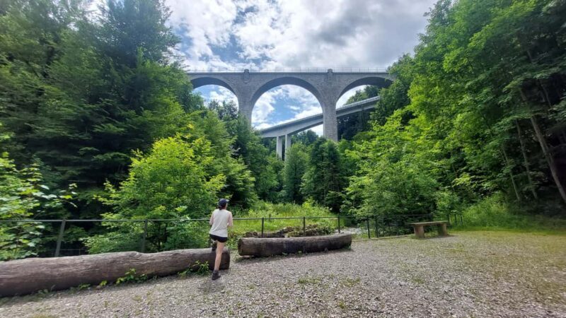From Zug: Lorze Valley Forest Hike with Guide and Bus - From Zug: Lorze Valley Forest Hike with Guide and Bus — An Authentic Swiss Nature Escape