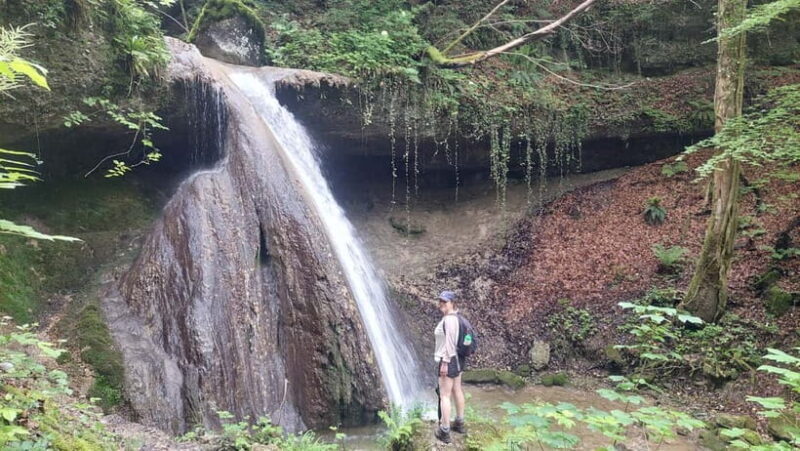 From Zug: Lorze Valley Forest Hike with Guide and Bus - Key Points