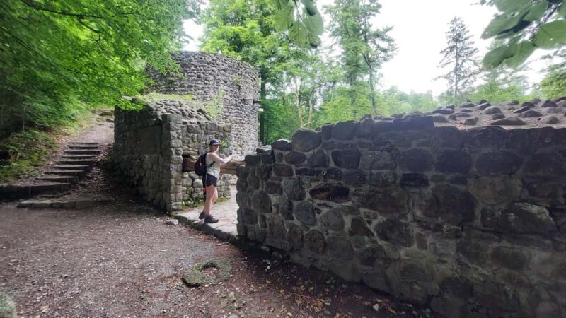 From Zug: Lorze Valley Forest Hike with Guide and Bus - What the Tour Includes and What to Keep in Mind