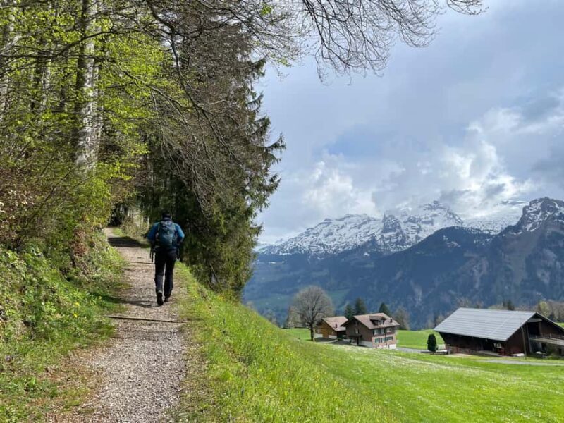 From Zug: Mythen Region Guided Hike with Gondola Rides - Why This Tour Is a Great Value