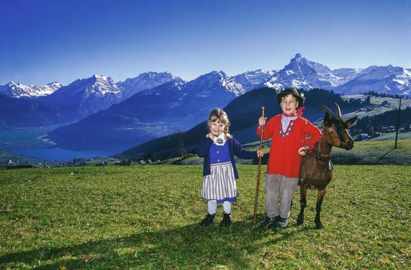 From Zurich: Bus Day Trip to Heidiland and Liechtenstein - An In-Depth Look at the Experience