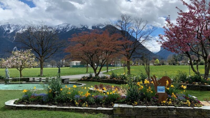 From Zurich: Crash Landing On You Locations in Interlaken - The Value of a Private, Guided Tour