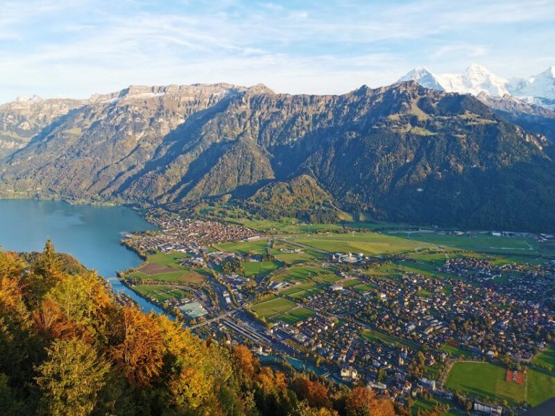 From Zurich: Day-Trip to Interlaken - Who This Tour Is Best For