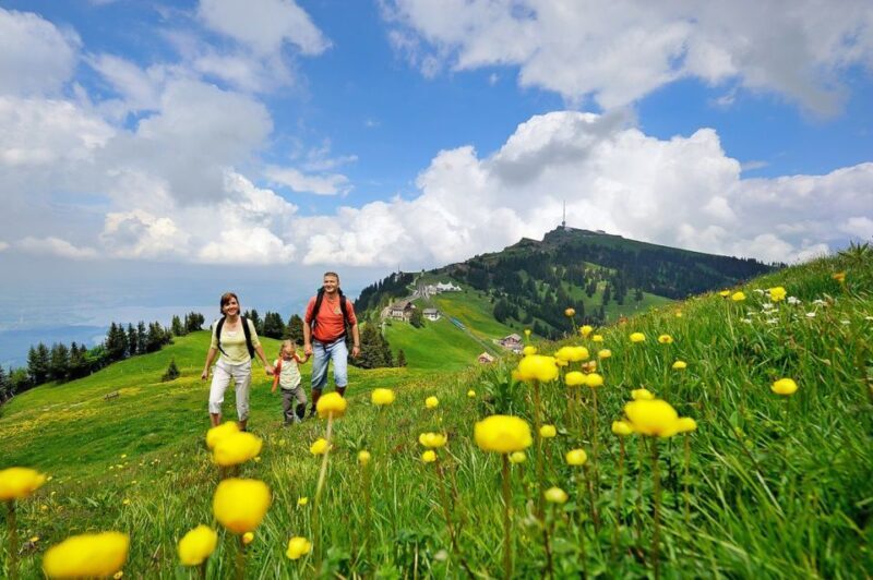 From Zürich: Day Trip to Rigi and Lake Lucerne - Who Will Love This Tour?