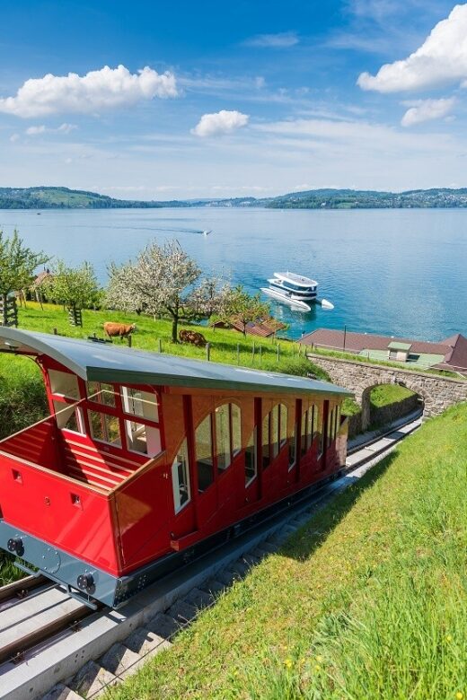 From Zurich: Funicular to Mt. Bürgenstock & Lake Lucerne - What Makes This Tour Stand Out?